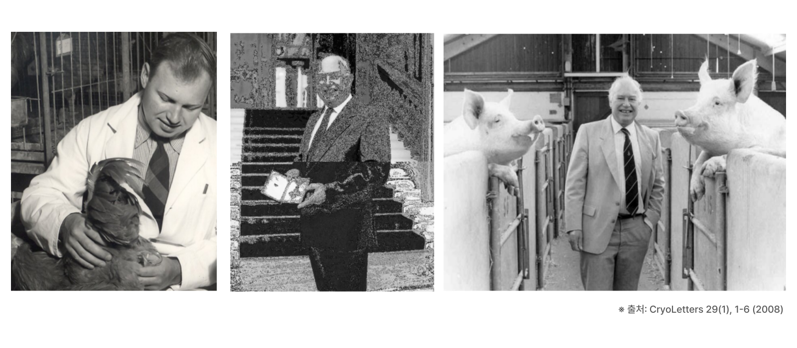 차바이오그룹 뉴스룸